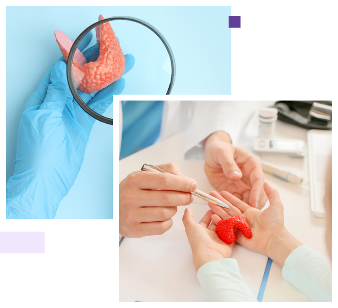 Pediatric Thyroid Doctor in Coimbatore | Child Thyroid Treatment Pediatric Thyroid Doctor in Coimbatore | Child Thyroid Treatment