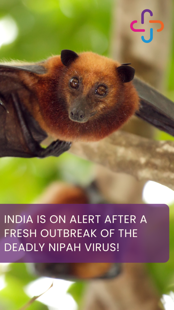 Nipah Virus Outbreak: Symptoms and Health Precautions - Sri Ramakrishna ...