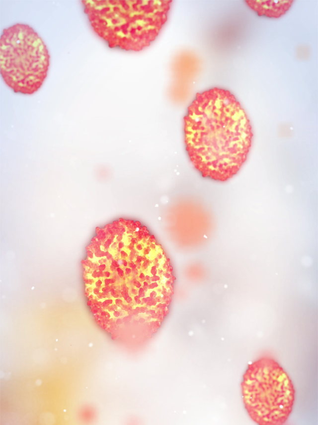 Understanding Monkeypox: Key Facts and Prevention Tips - Sri ...